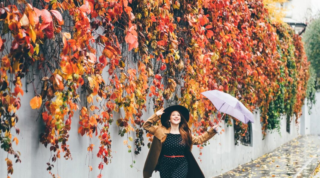 What to Do All Year Round Seasonal Activities in Melbourne - My Vivid ...
