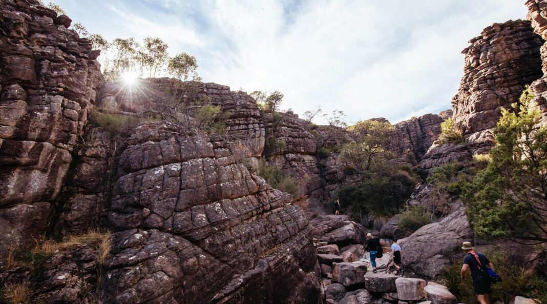 Spend a Day in the Grampians (Gariwerd) - Nature, Hikes, and Indigenous ...